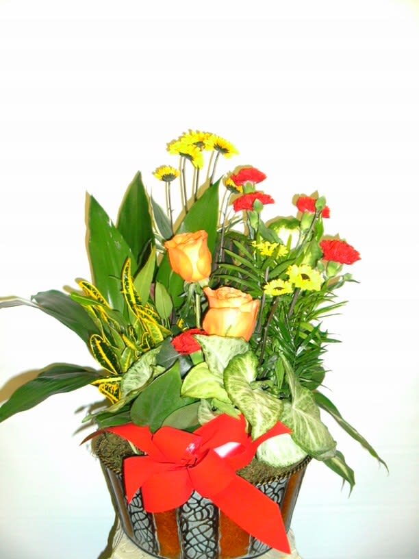 Mixed Plants with Roses by Puskas Family Flowers