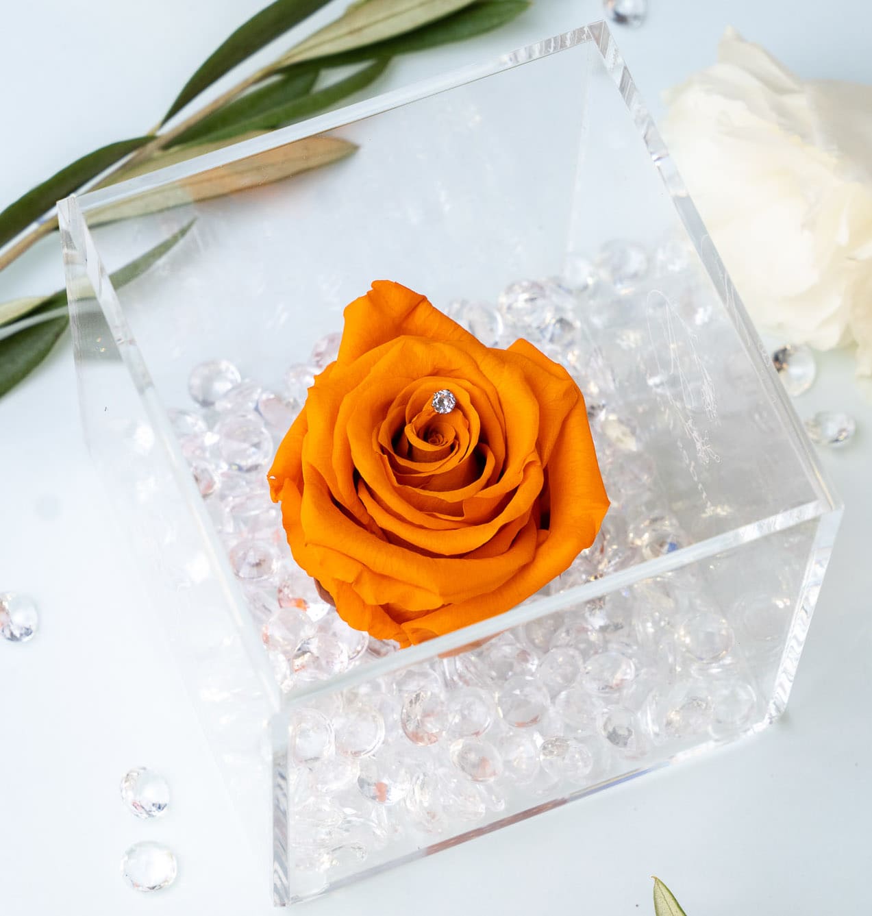 Single One Year Rose In Acrylic Case - Orange in Torrance, CA | Andes ...