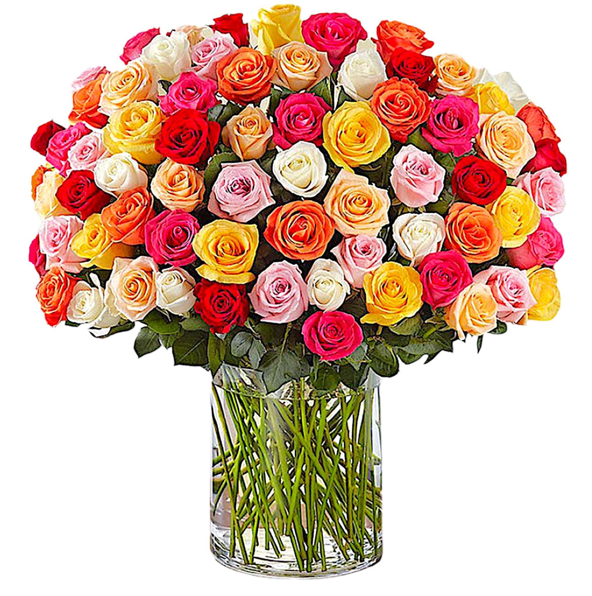 100 Premium Long Stem Assorted Roses Arrangement by Ninfa's Flowers
