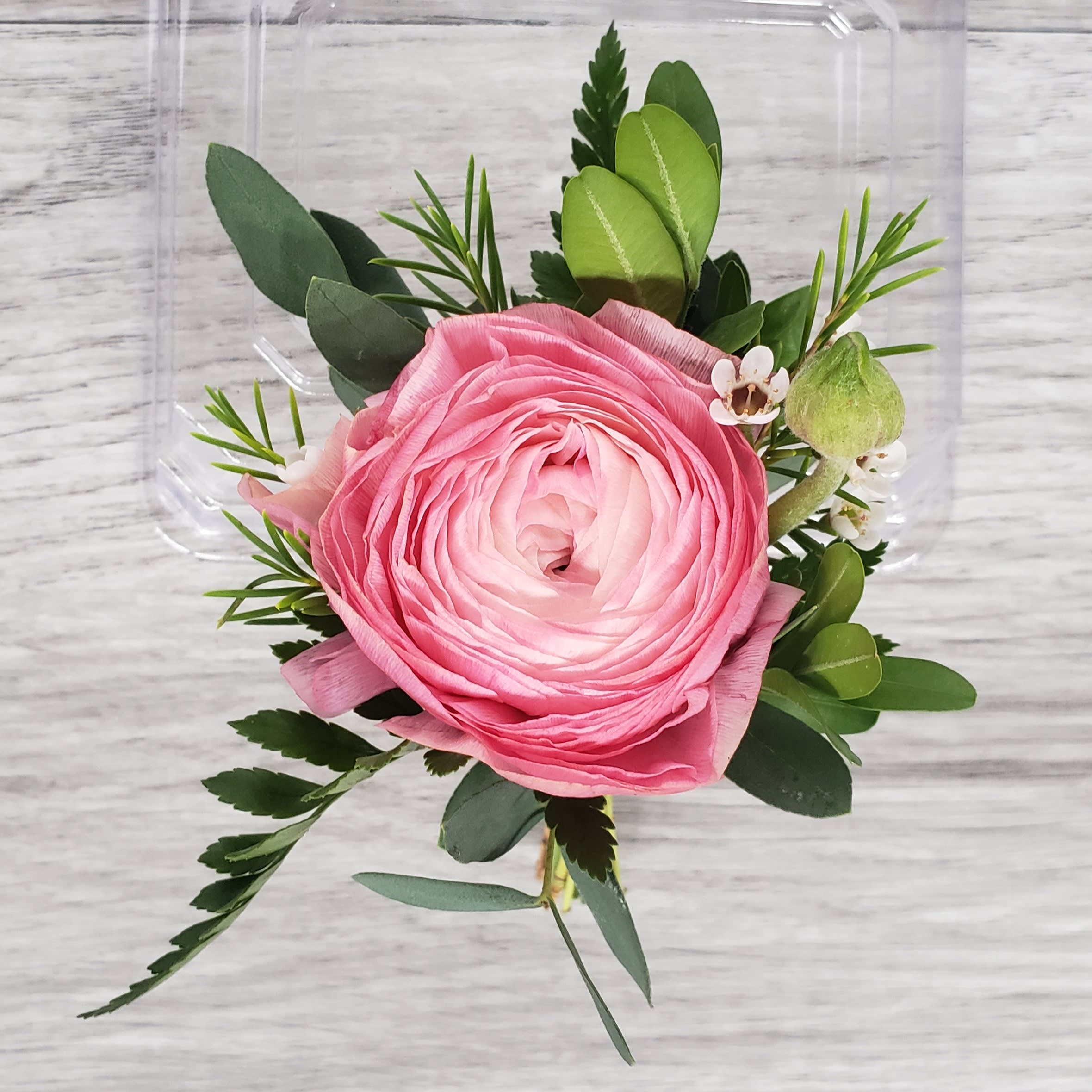 Light Pink Ranunculus Boutonniere by A Ladybug Floral