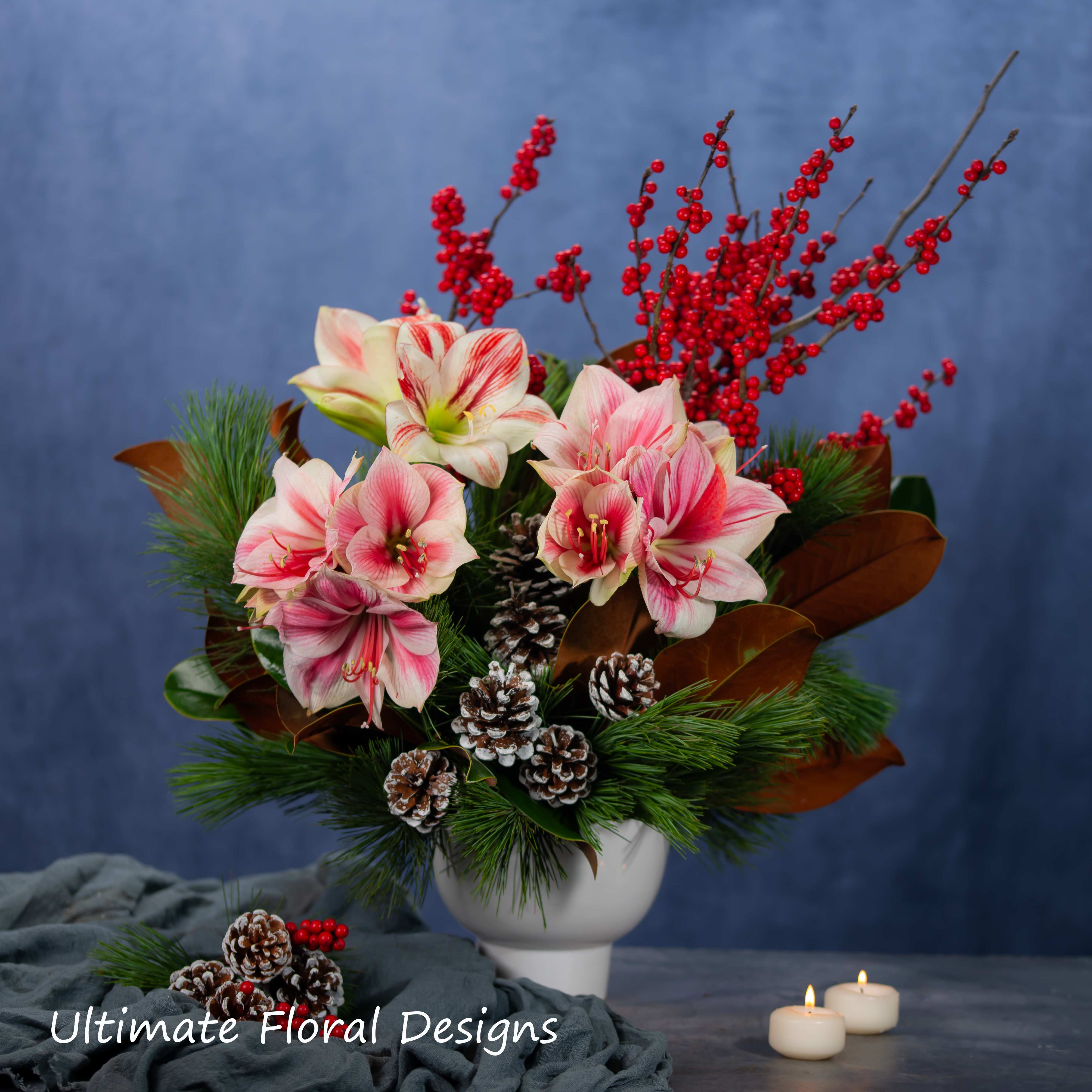 Amaryllis in Bloom by Ultimate Floral Designs