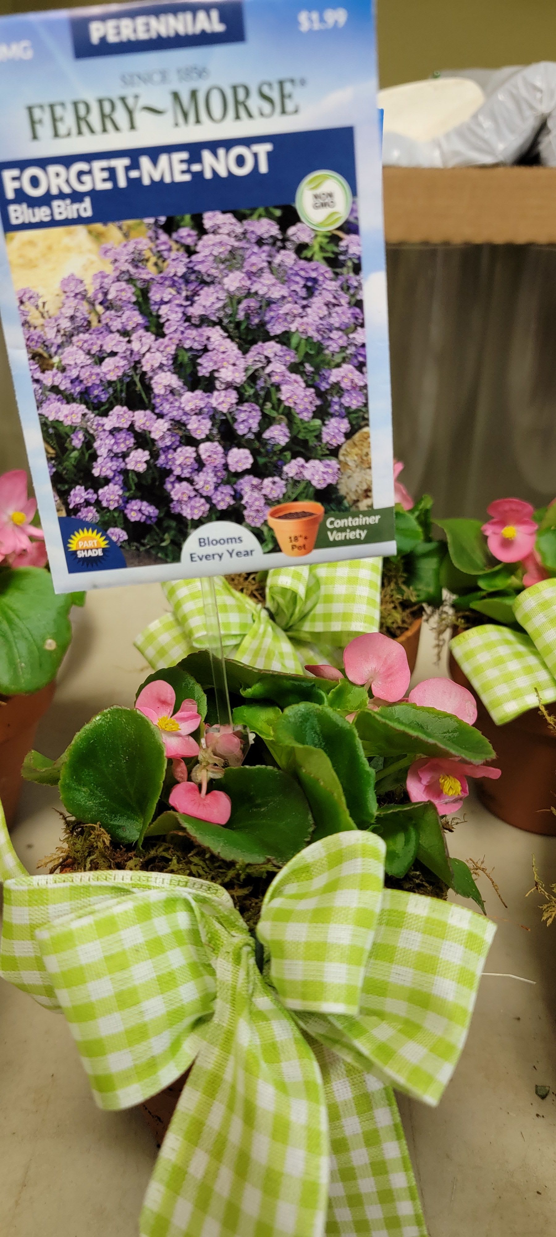 Specialty Plants by Evans Flower Shop