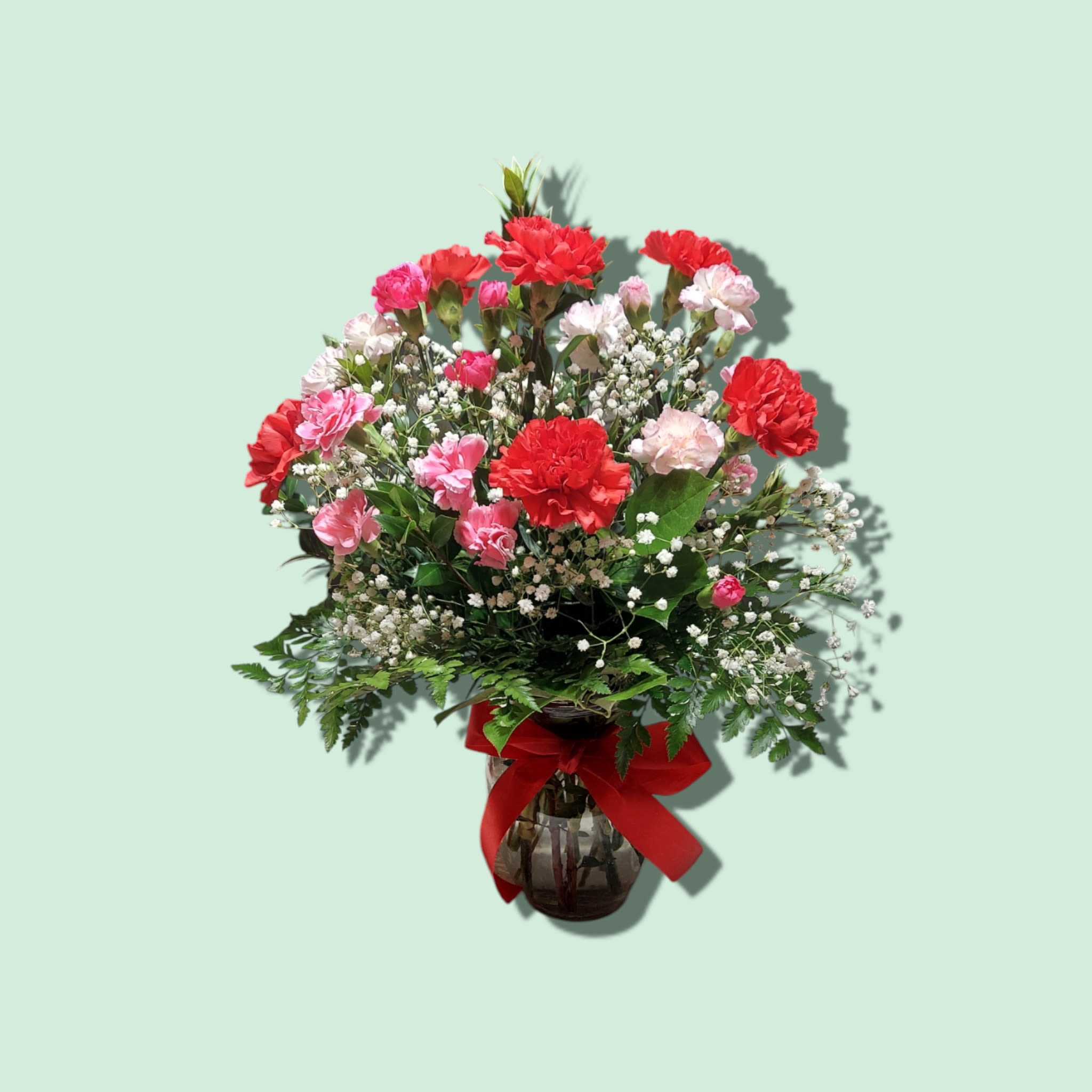 Carnation Canoodles in Warren, OH | Jensen's Flowers & Gifts, Inc.