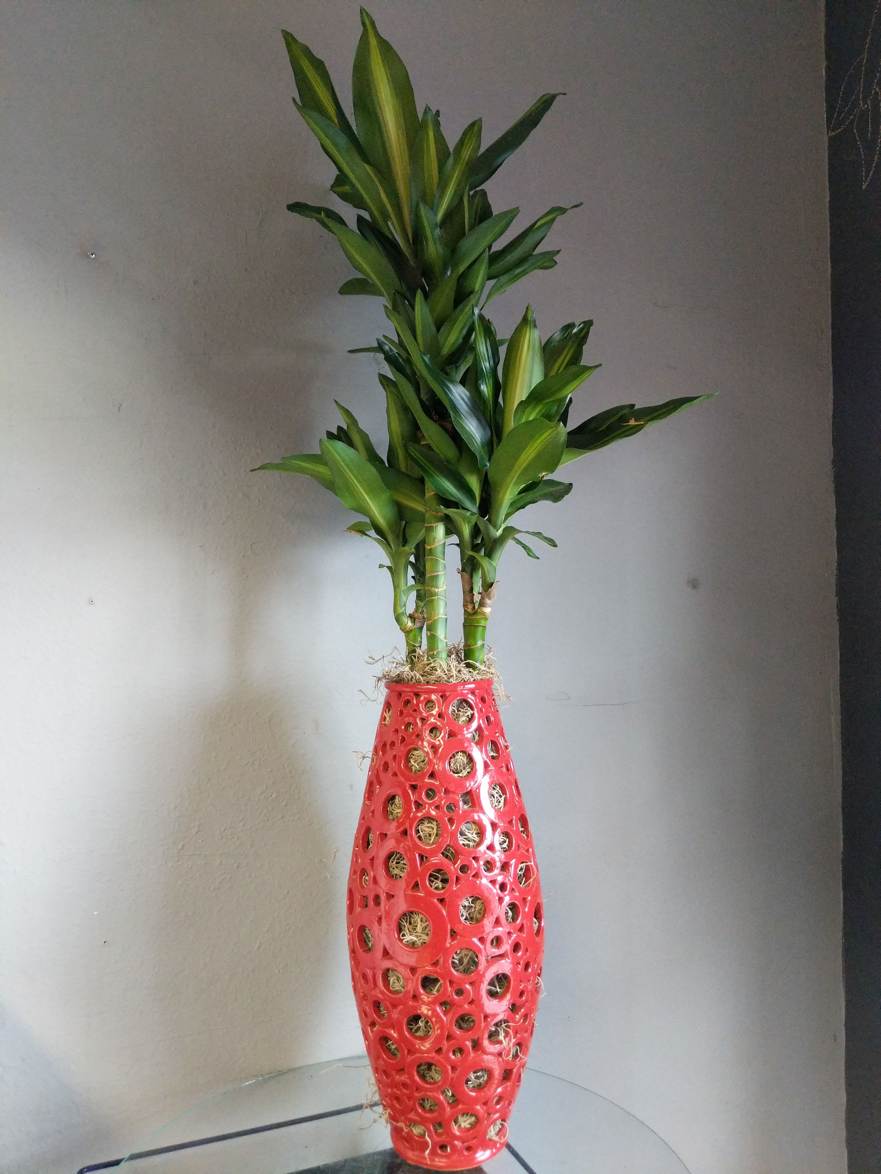 Red and Unique III by The Dizzy Daisy