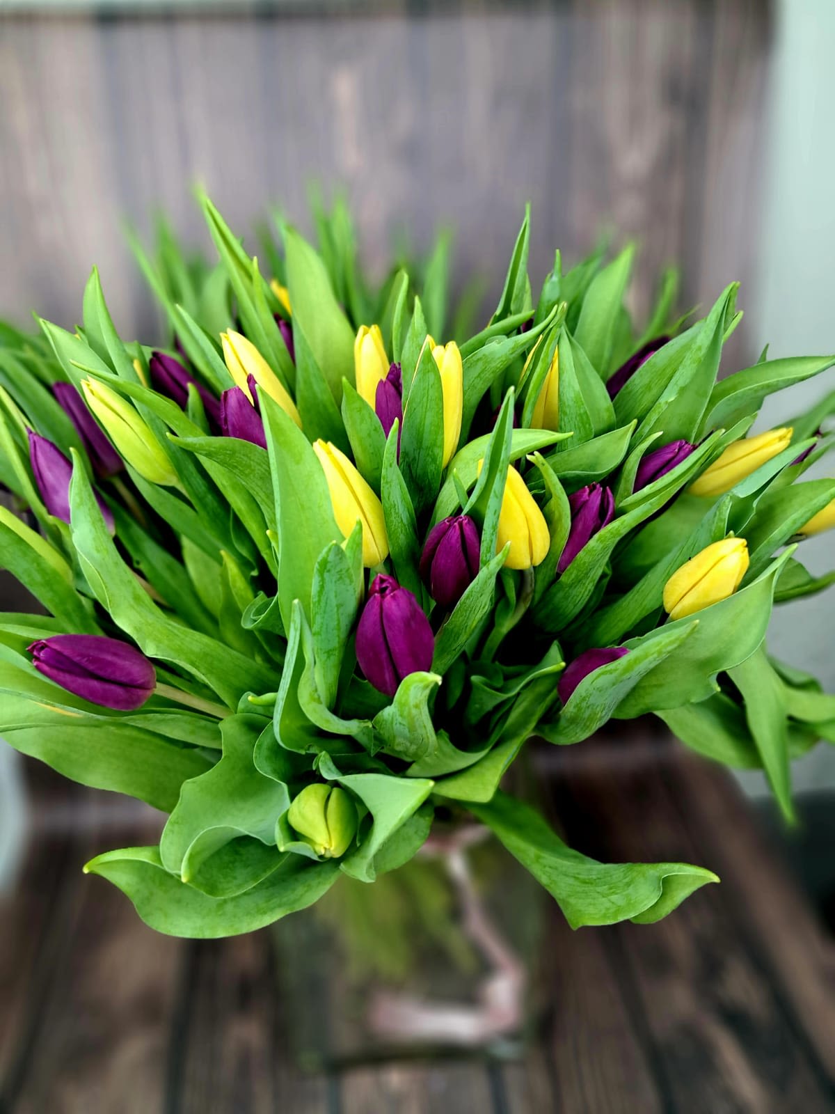 Bouquet of Tulips by First Floral
