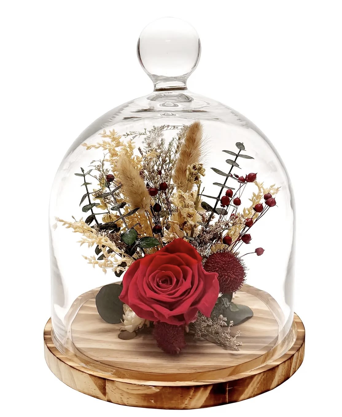 Preserved Red Rose Dome by Rooted and Grounded Florals