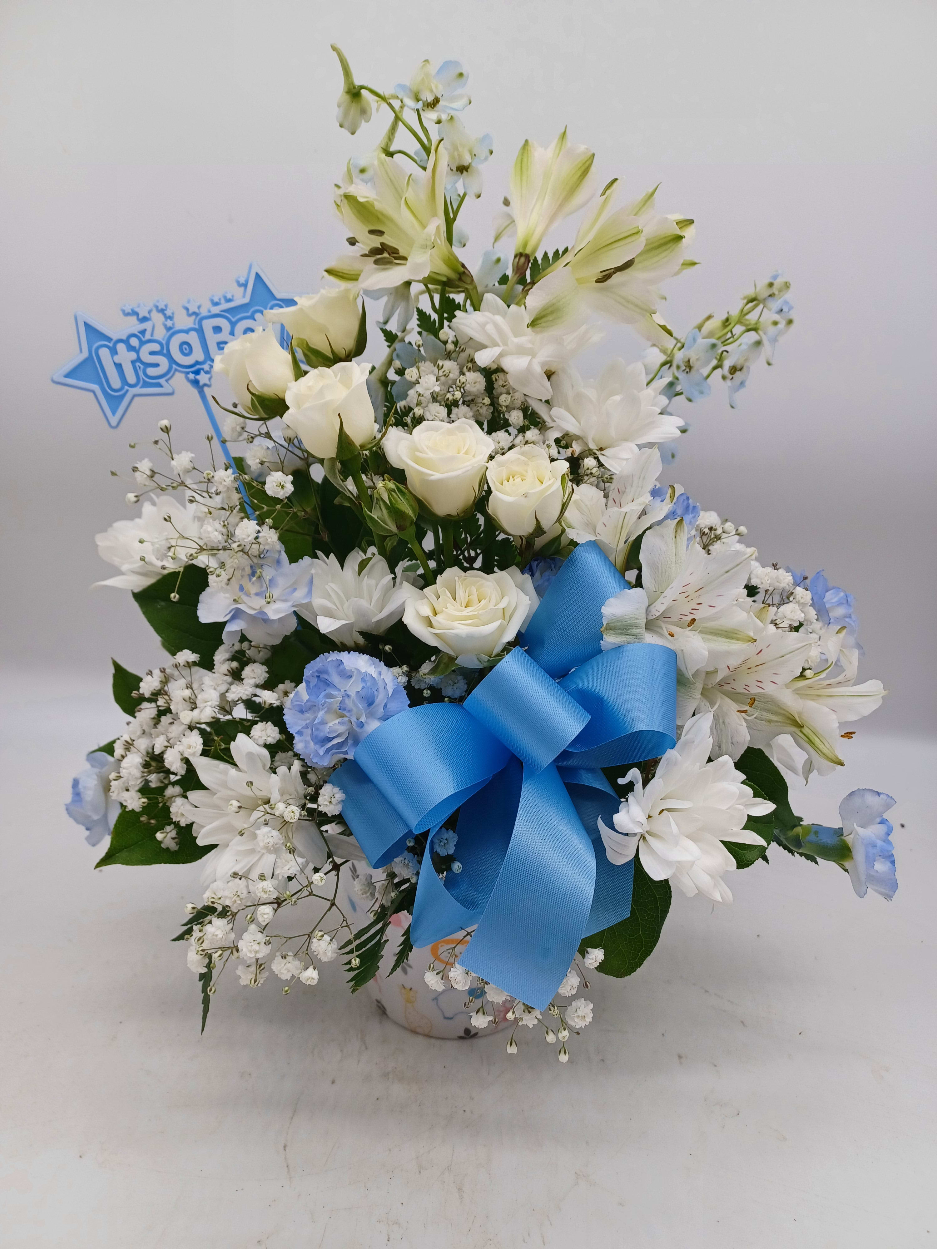 Precious Boy in Voorhees, NJ | Green Lea