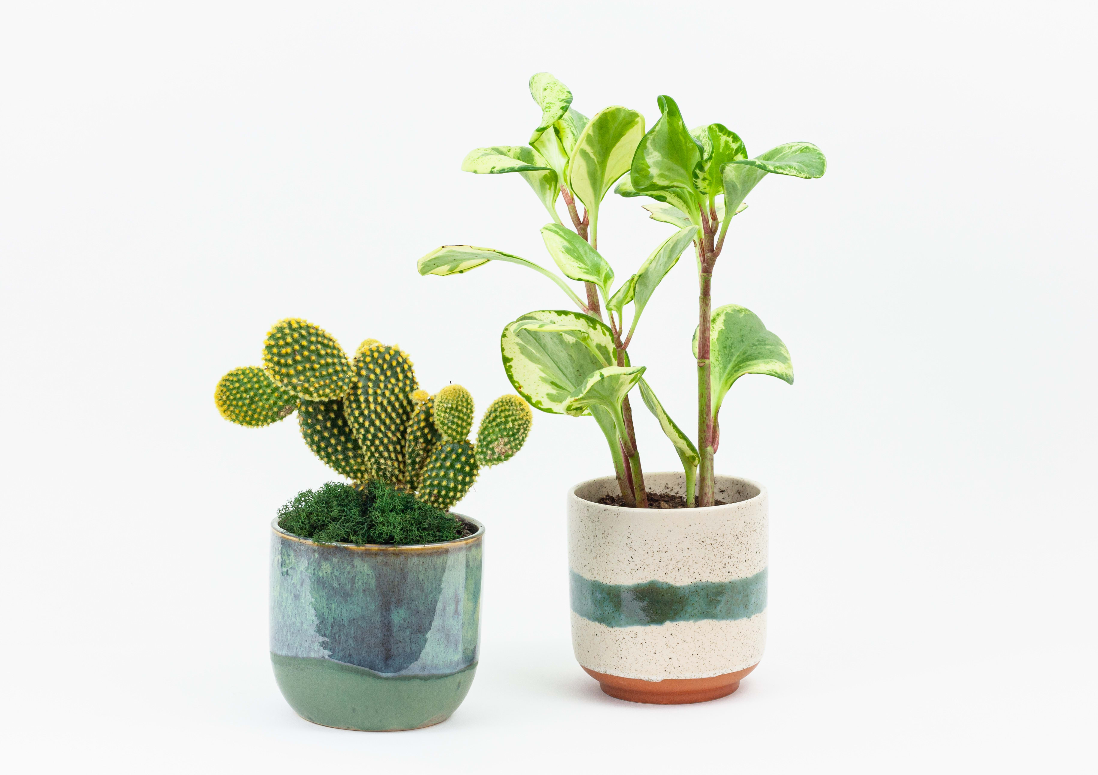 Easy Care Set in San Francisco, CA | Sol Ambiance