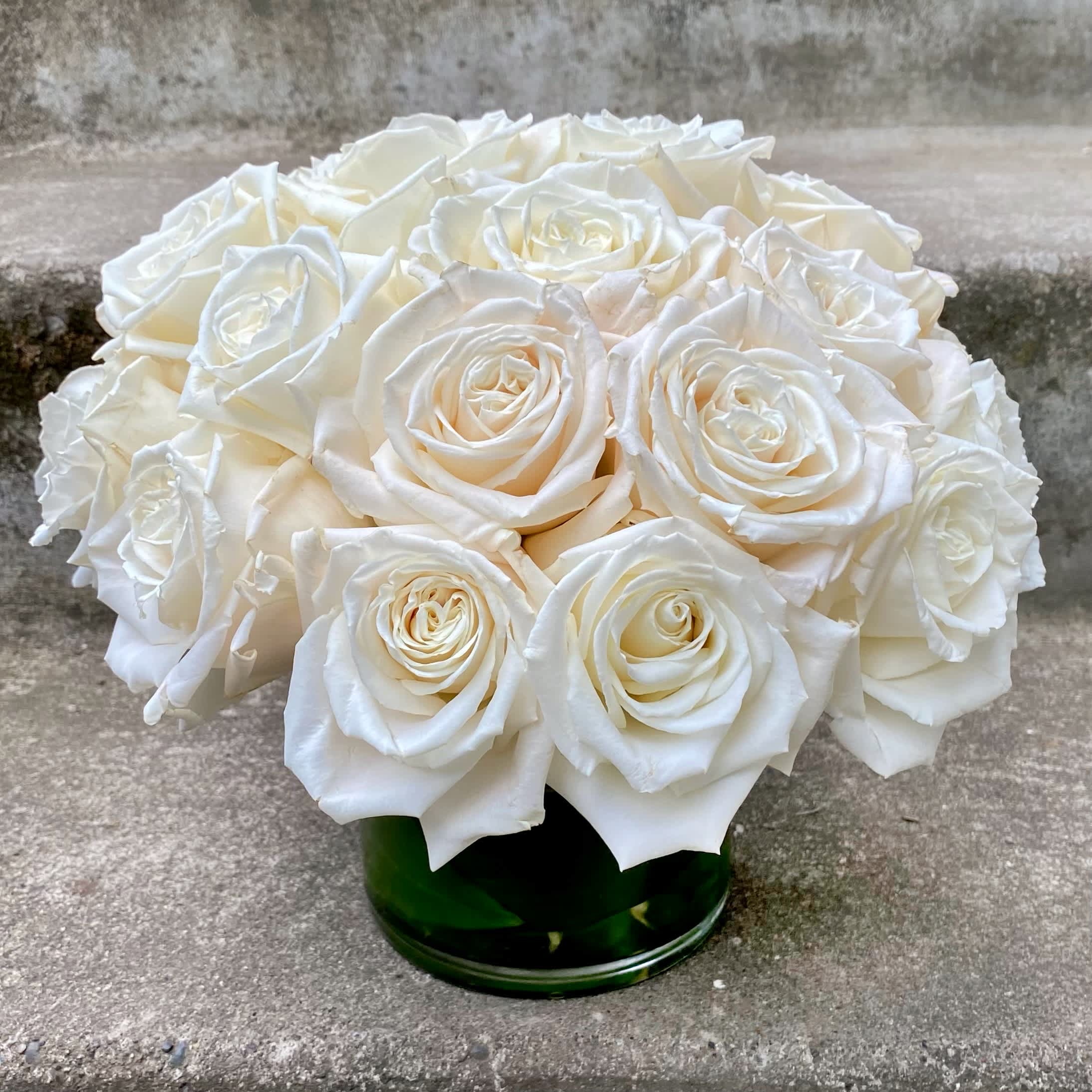Two Dozen Classic White Roses in Seattle, WA | Fiori Floral Design