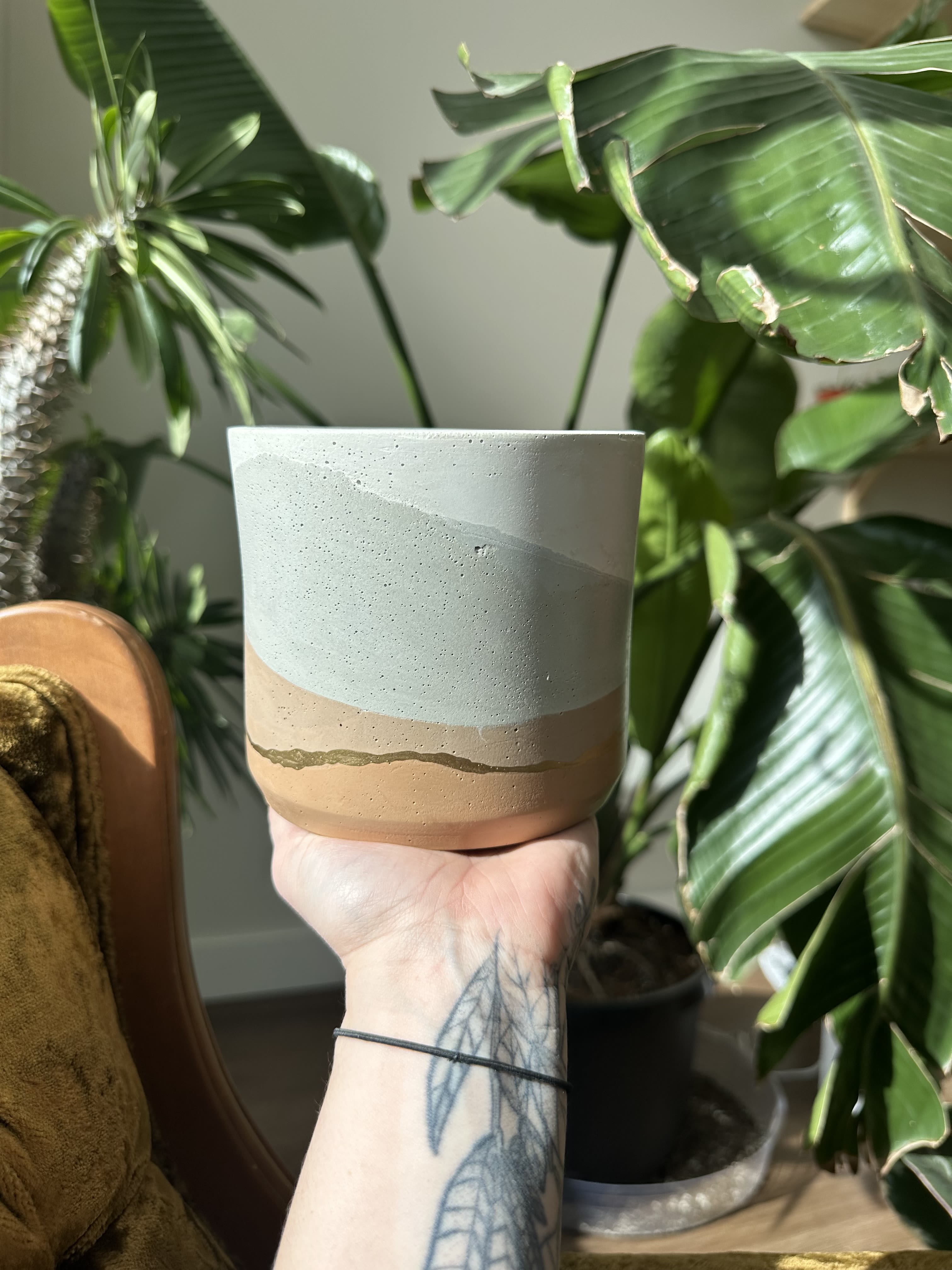 5" Cement Planter- Sand to Sky in Blairmore, AB | Magnolia Floral Studio