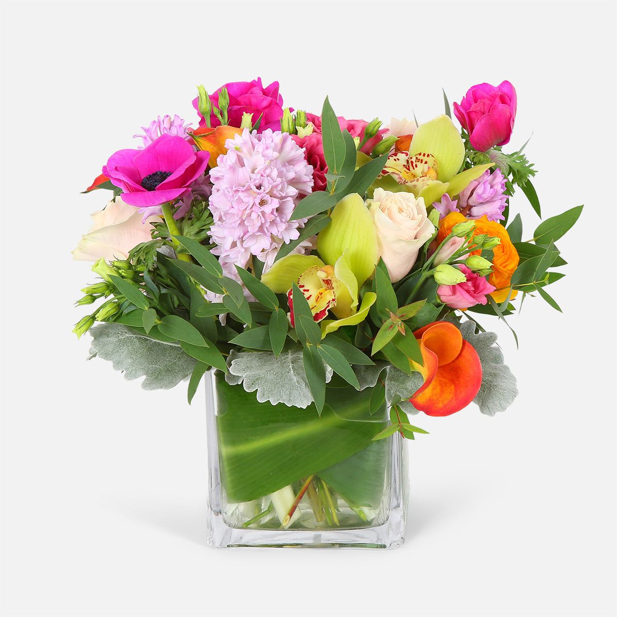 Splash of Spring in New York, NY | PlantShed - New York Flowers