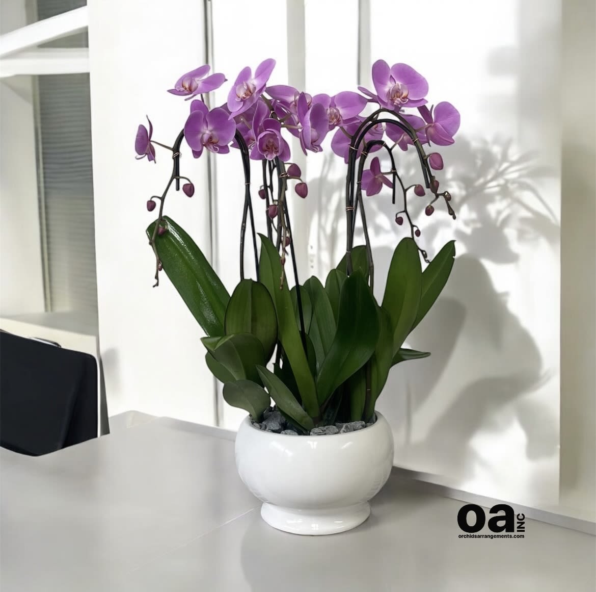 Four Pink Orchids 10" D x 7" T Vaseby Orchids Arrangements