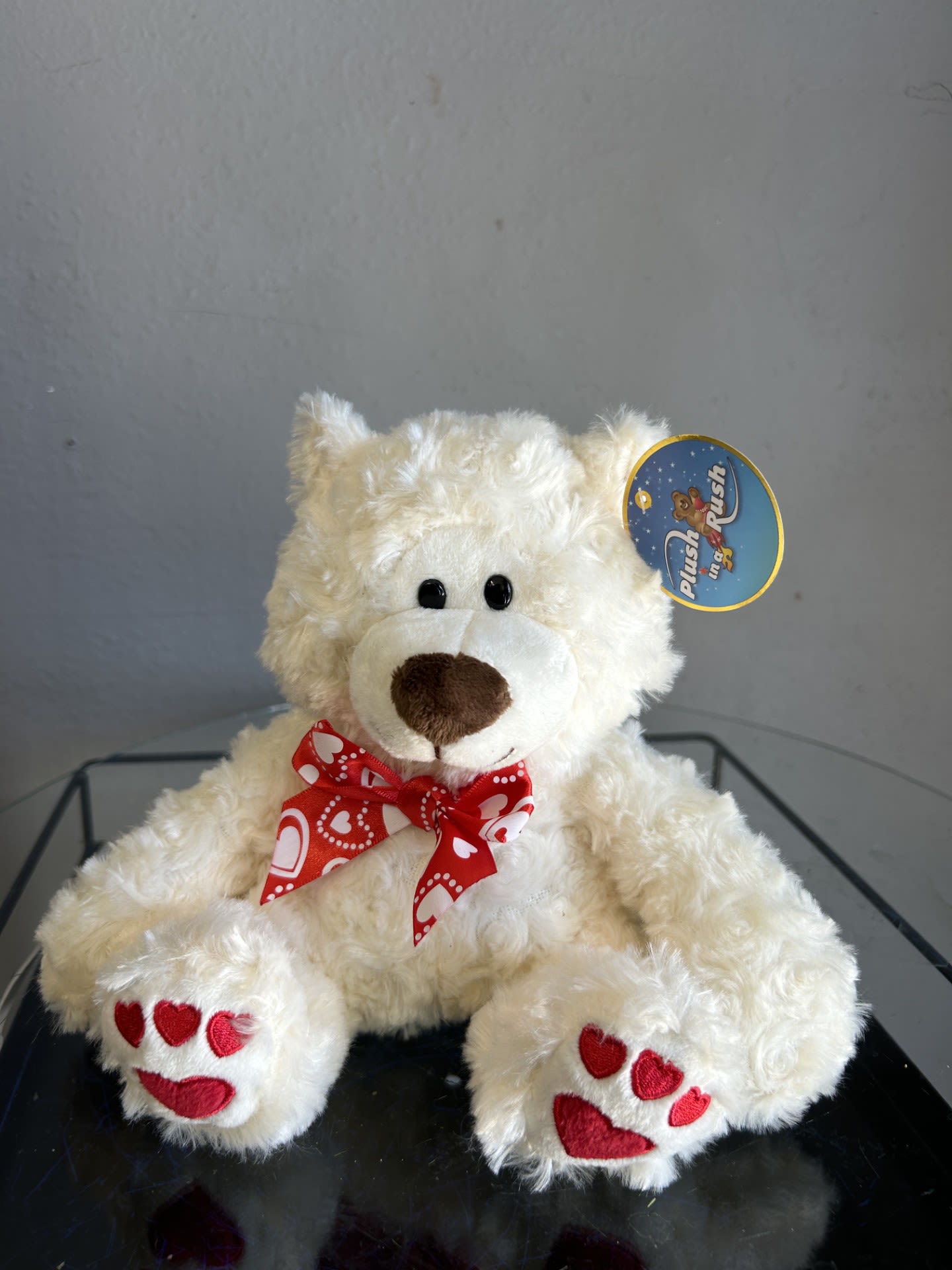 White Teddy Bearby The Dizzy Daisy