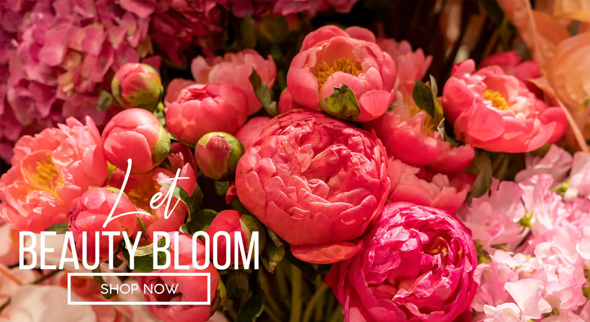Seattle Florist | Flower Delivery by Flora & Bouquet