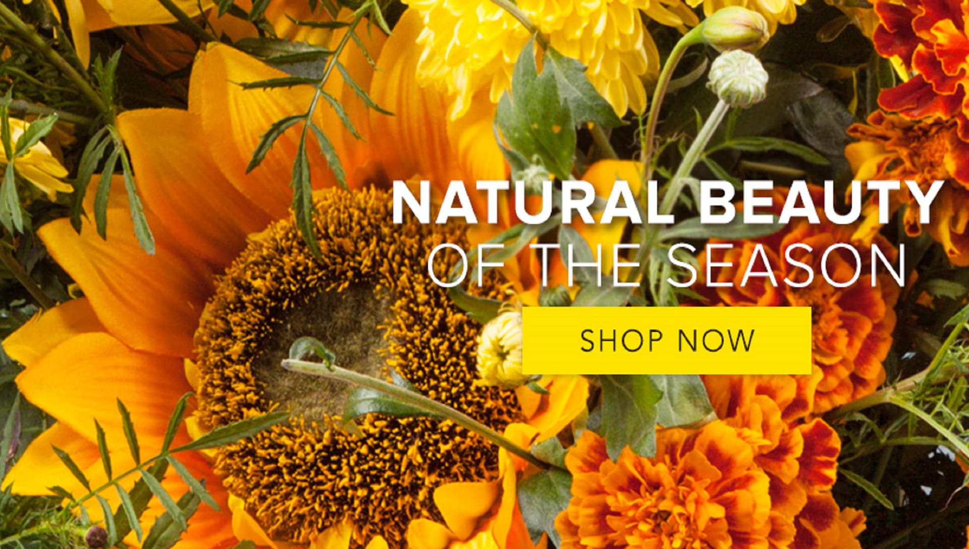 Dunkirk Florist | Flower Delivery by Karen's of Calvert Florist & Gifts