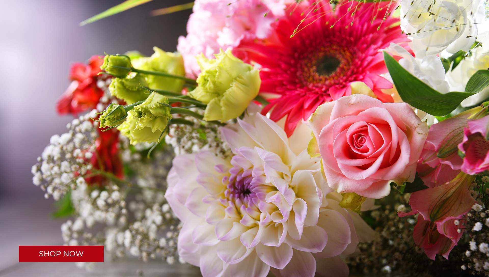 Ontario Florist | Flower Delivery by Flowers Express