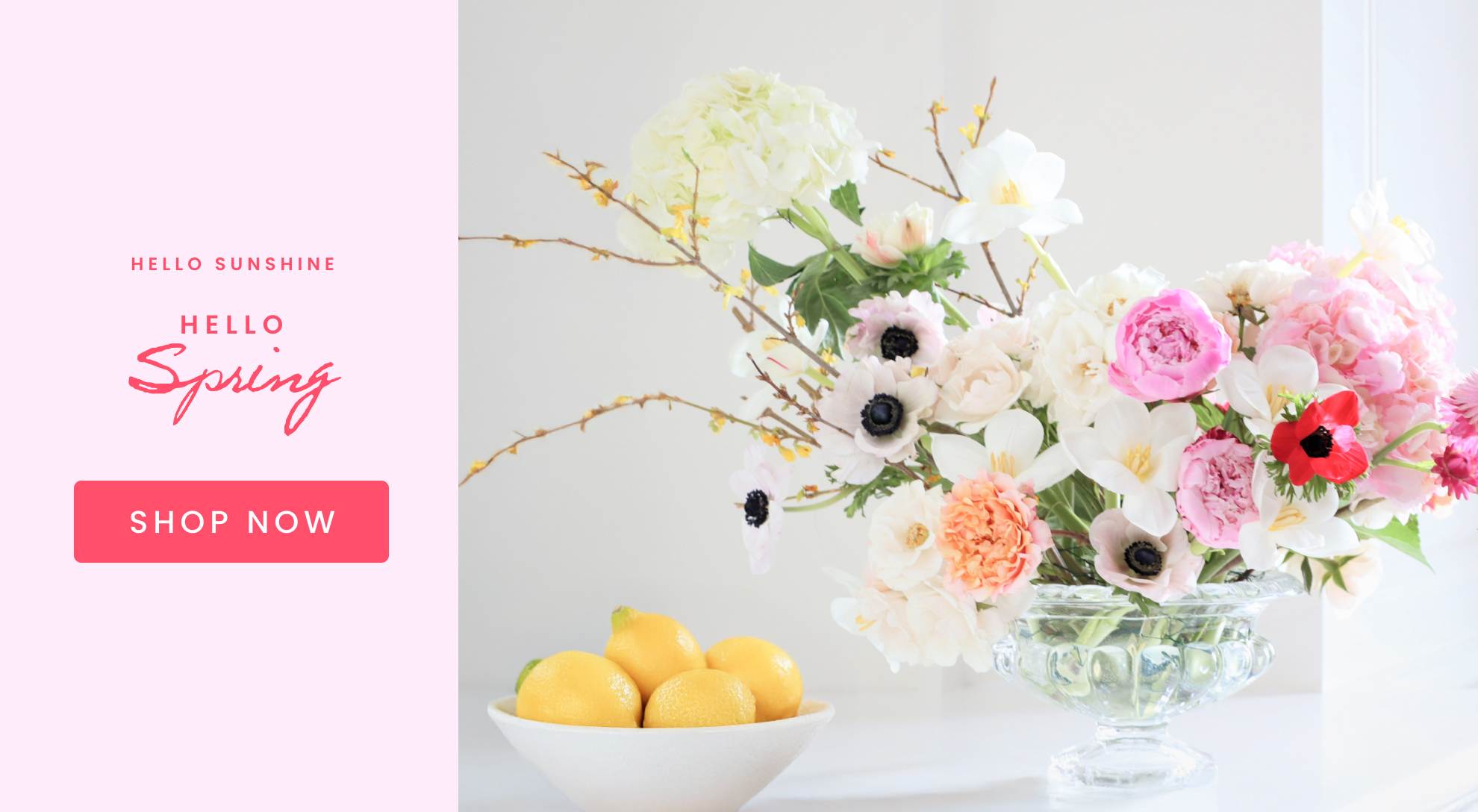 Philadelphia Florist | Flower Delivery by Nature's Gallery Florist, Inc.