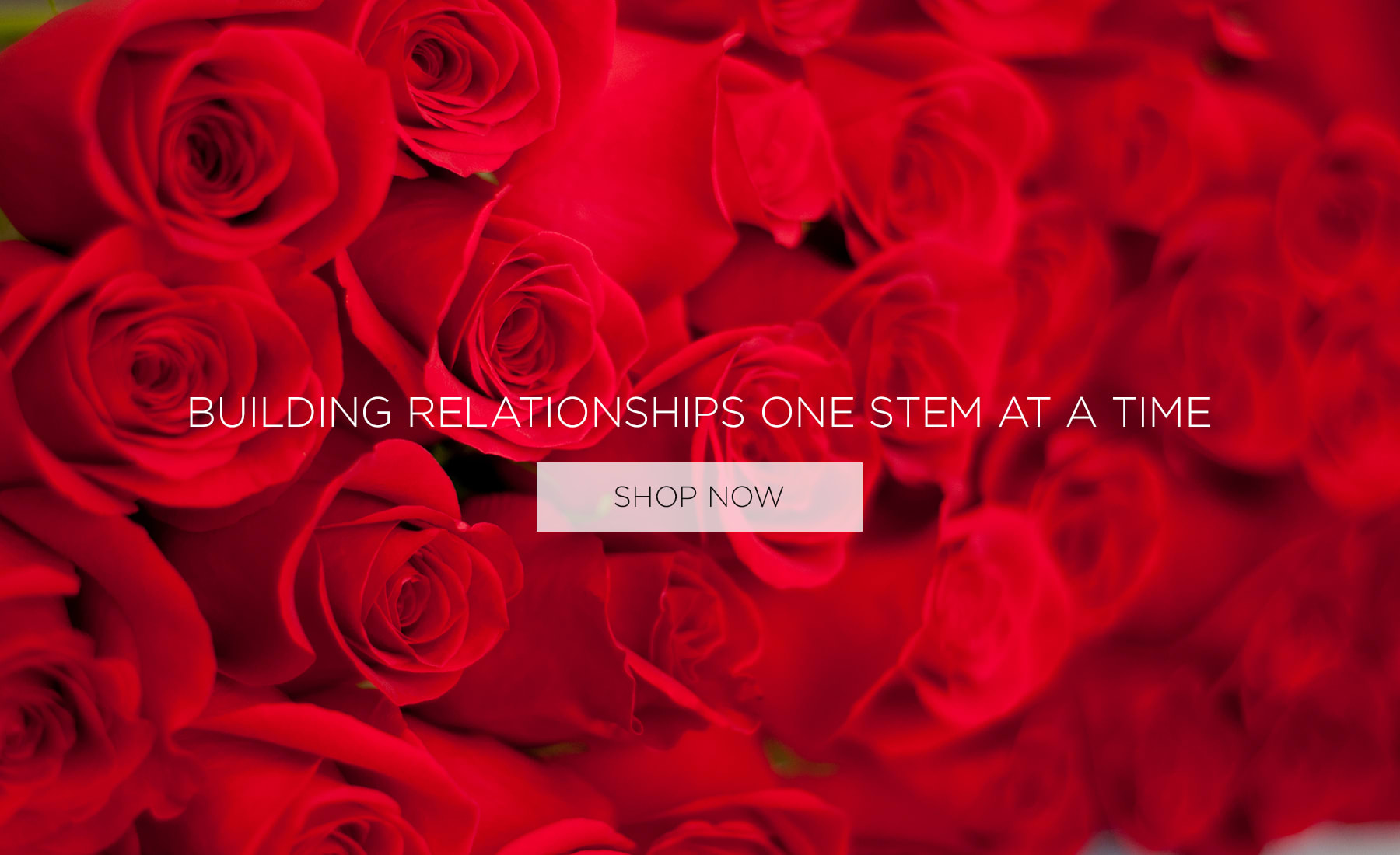 Saint Cloud Florist | Flower Delivery by The Bouquet Butler