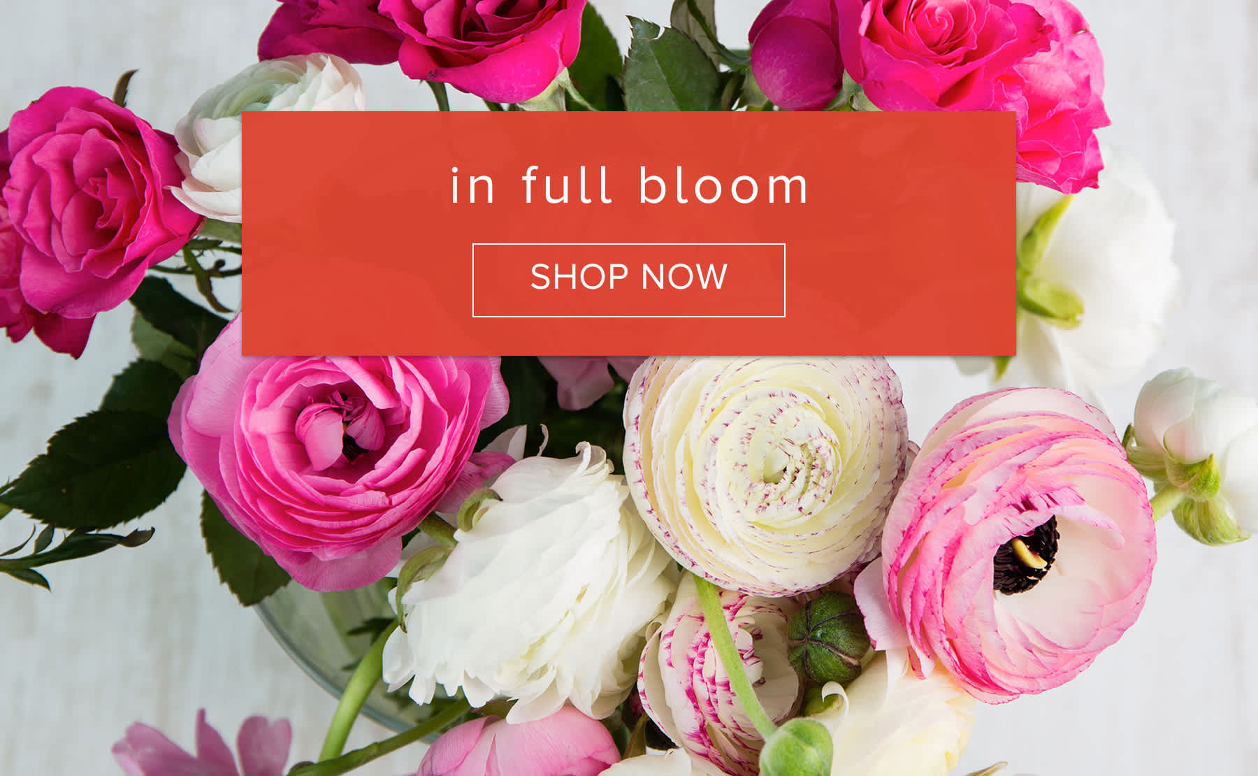 Miami Florist | Flower Delivery by Dolly's Florist