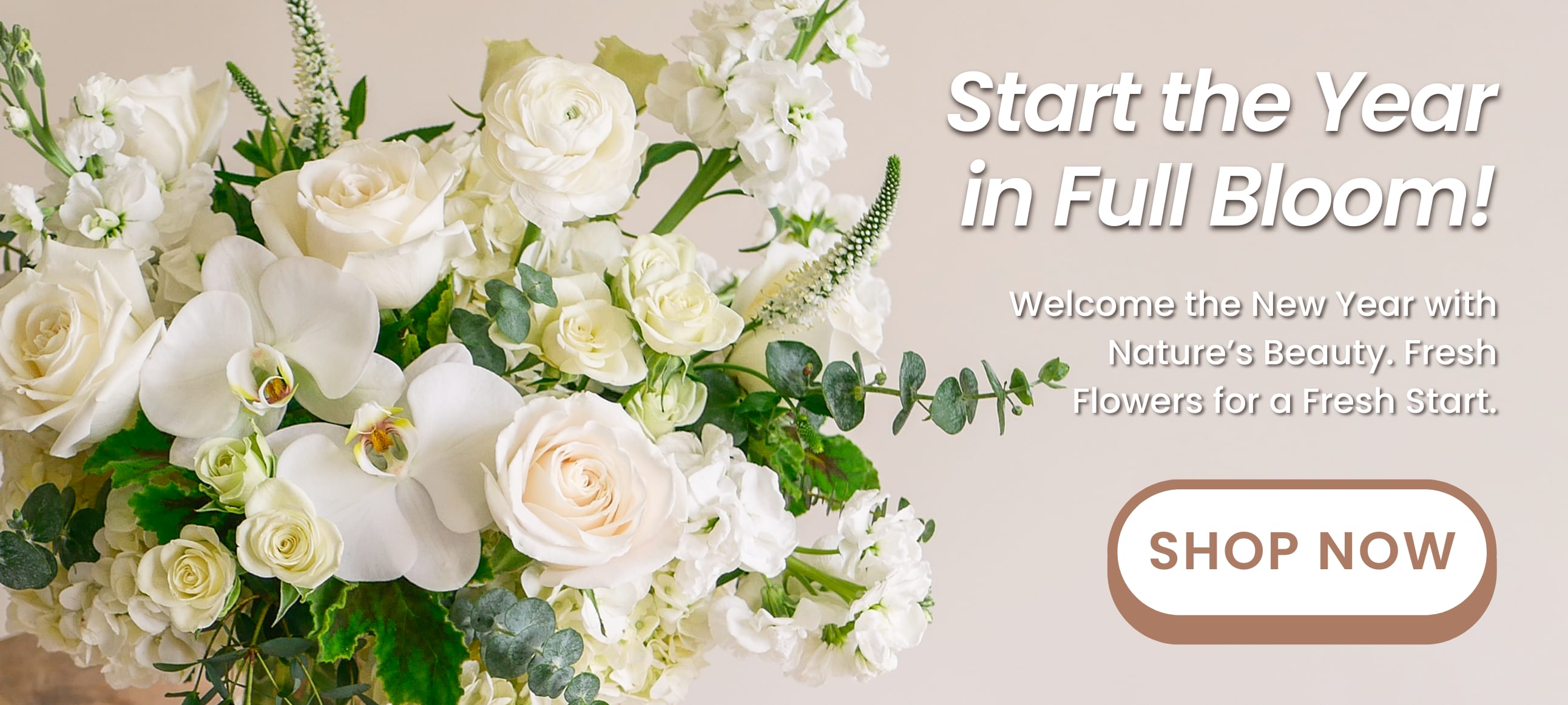 Los Angeles Florist | Flower Delivery by Anthony's Flowers