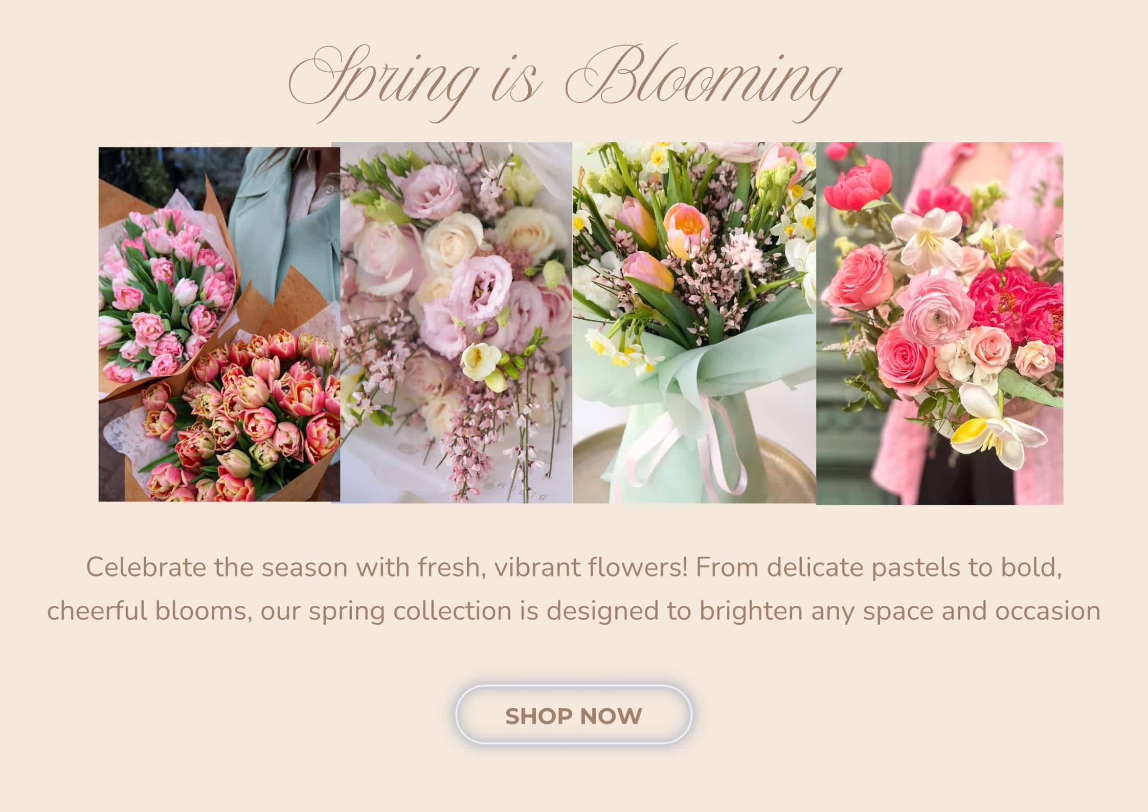 Hoboken Florist | Flower Delivery by Bloomie Flower Studio