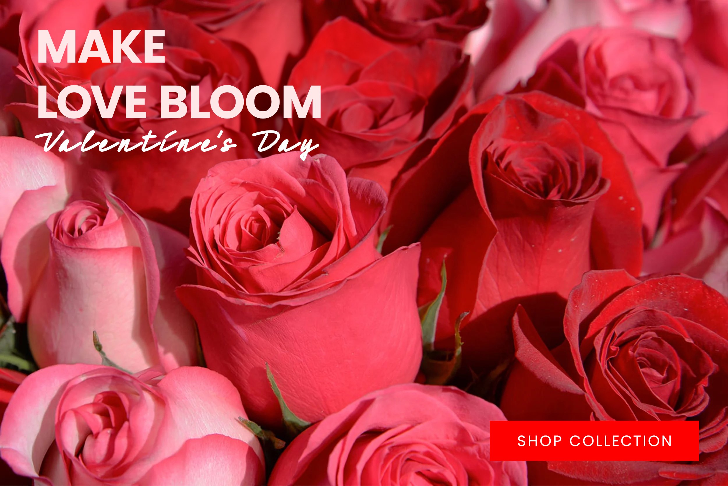 Sayreville Florist | Flower Delivery by Sayrewoods Floral