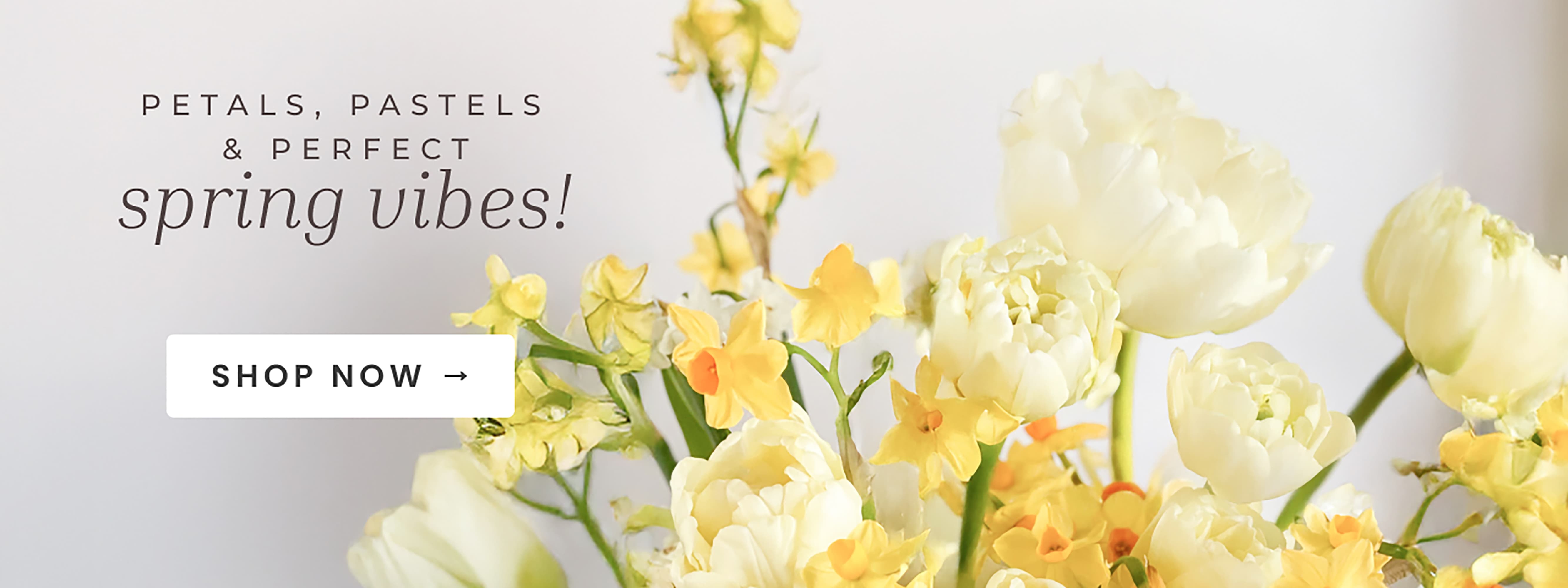 Portland Florist | Flower Delivery by Harmon's Floral Company