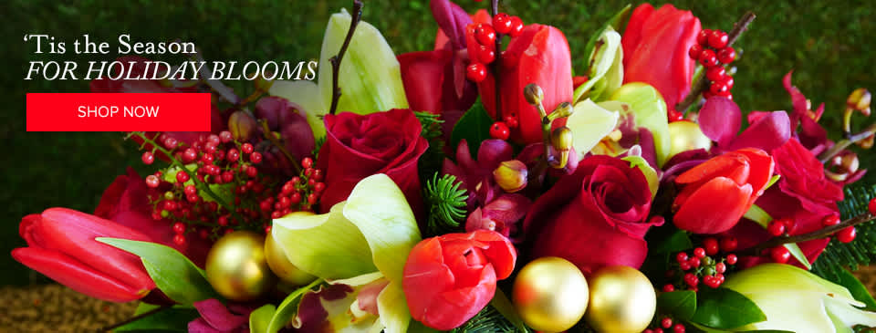 Torrance Florist | Flower Delivery by Andes Florist