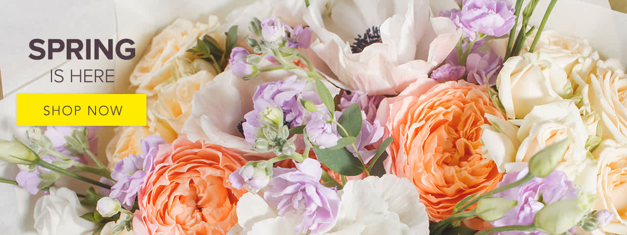 Keene Florist | Flower Delivery by In The Company Of Flowers