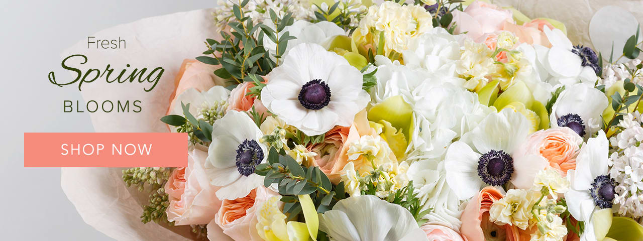 Dallas Florist | Flower Delivery by All Occasions Florist