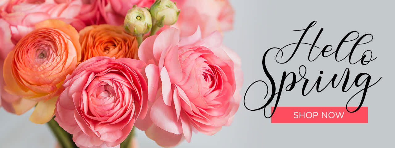 Torrance Florist | Flower Delivery by Andes Florist