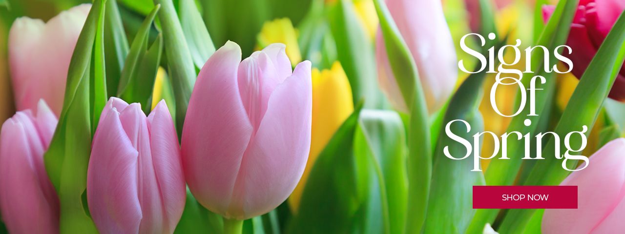 san diego Florist | Flower Delivery by Mariana's Flower Shop