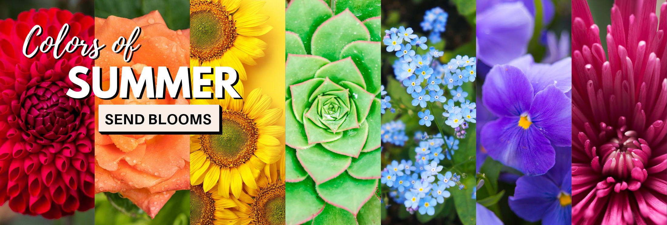 Coos Bay Florist | Flower Delivery by Checkerberry's Flowers & Gifts