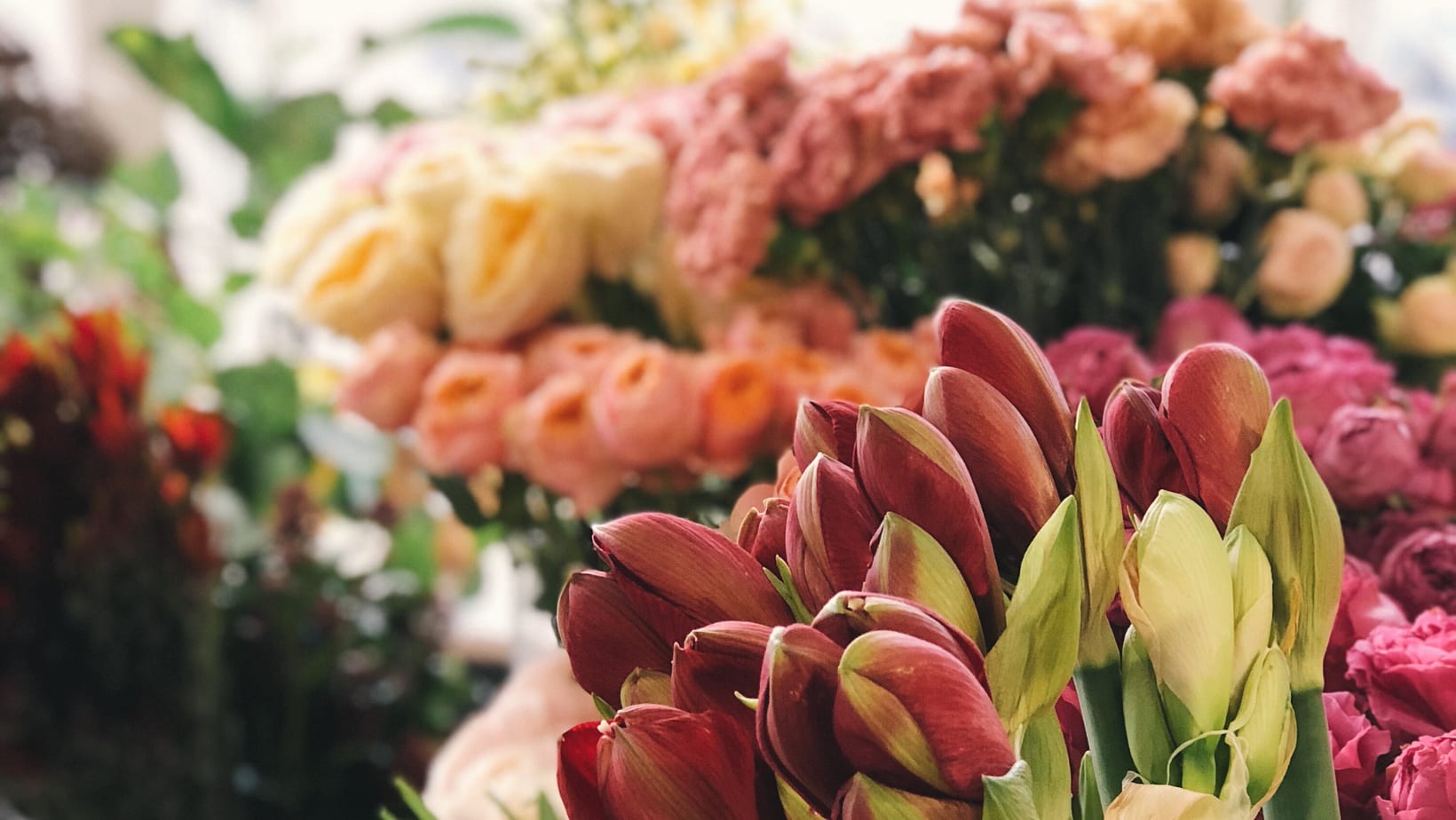 Cambridge Florist | Flower Delivery by Kendall Flower Shop