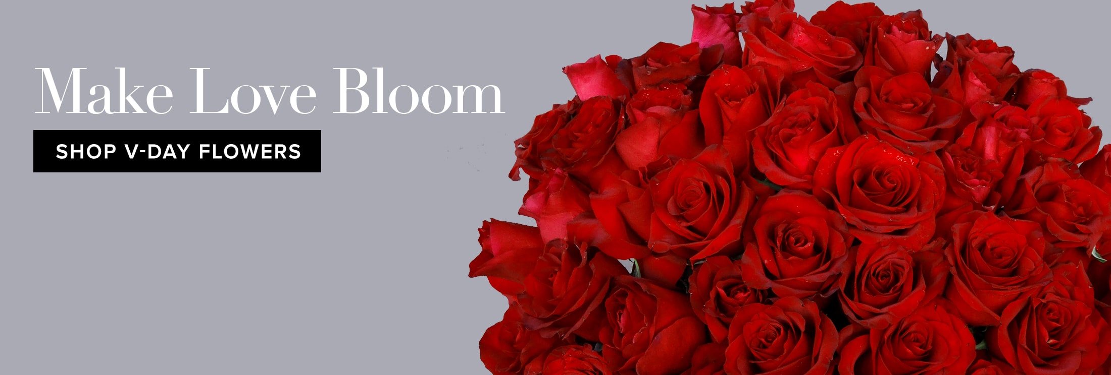 Los Angeles Florist | Flower Delivery by Floral Design by Dave's Flowers