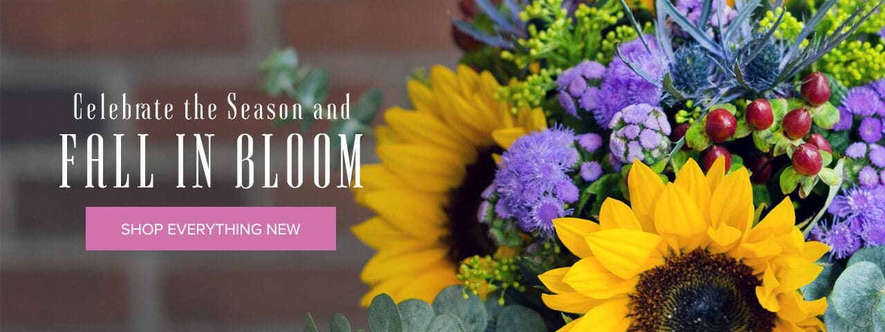 Boston Florist | Flower Delivery by Robins Flower Shop