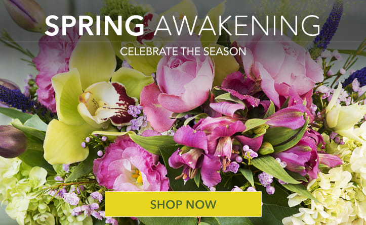 Olive Branch Florist | Flower Delivery by The Yellow Rose Florist LLC