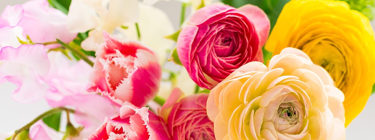 Terrell Florist | Flower Delivery by Dana Daniels Flowers