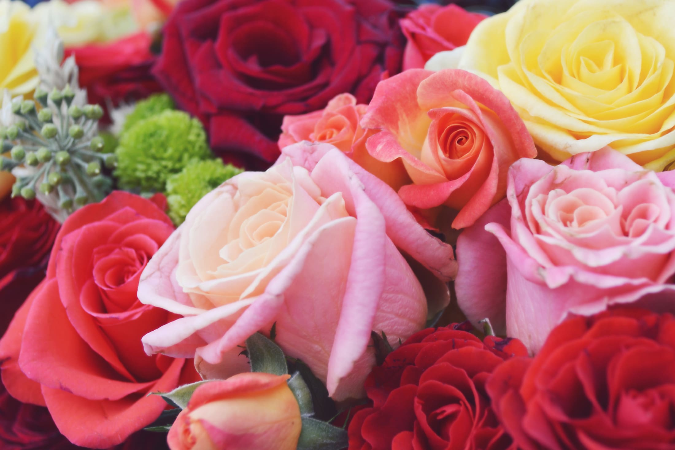 Normandy Park Florist | Flower Delivery by Puget Sound Floral