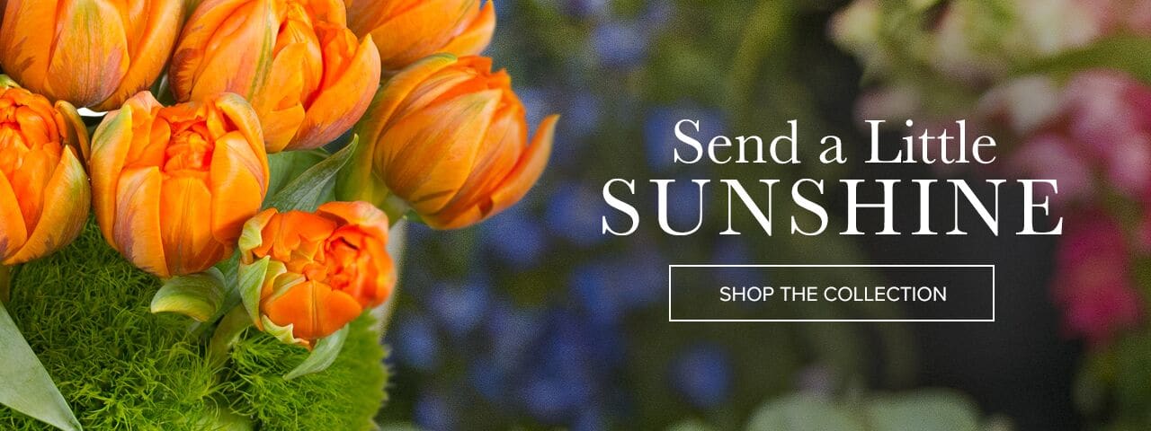 Augusta and Martinez Florist | Flower Delivery by FLOWERS ON BROAD