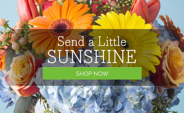 Philadelphia Florist | Flower Delivery by Philadelphia Flower Market