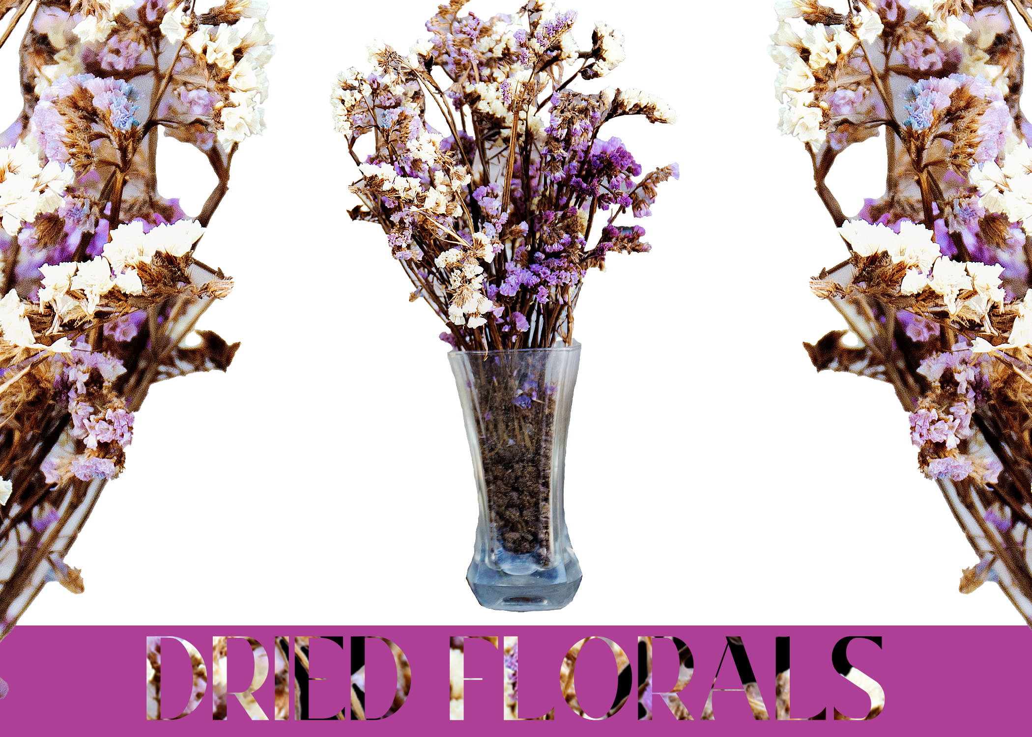 11 Most Romantic Flowers Blog Alpha Floral