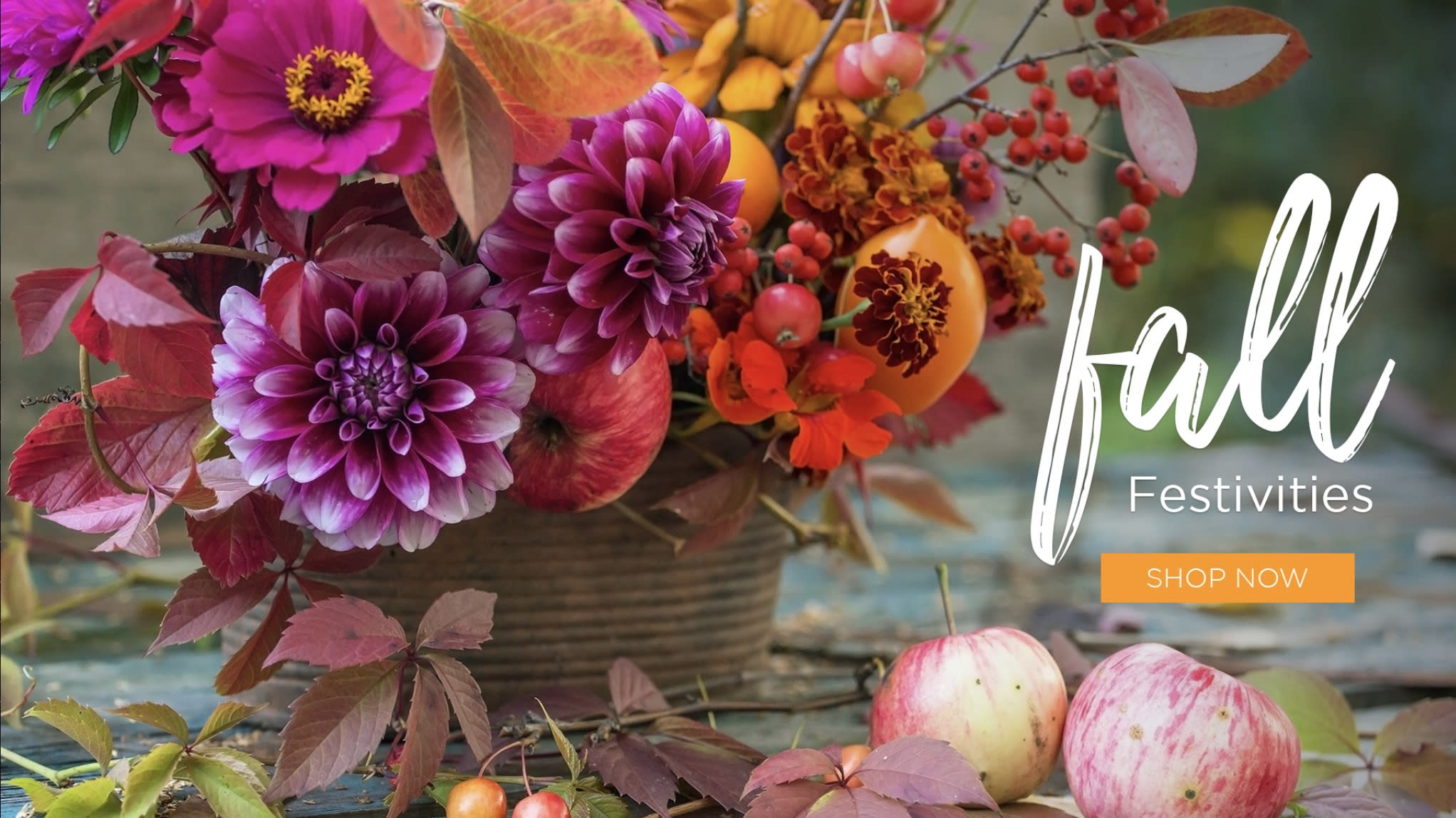 Saint Paul Florist | Flower Delivery by St Paul Floral