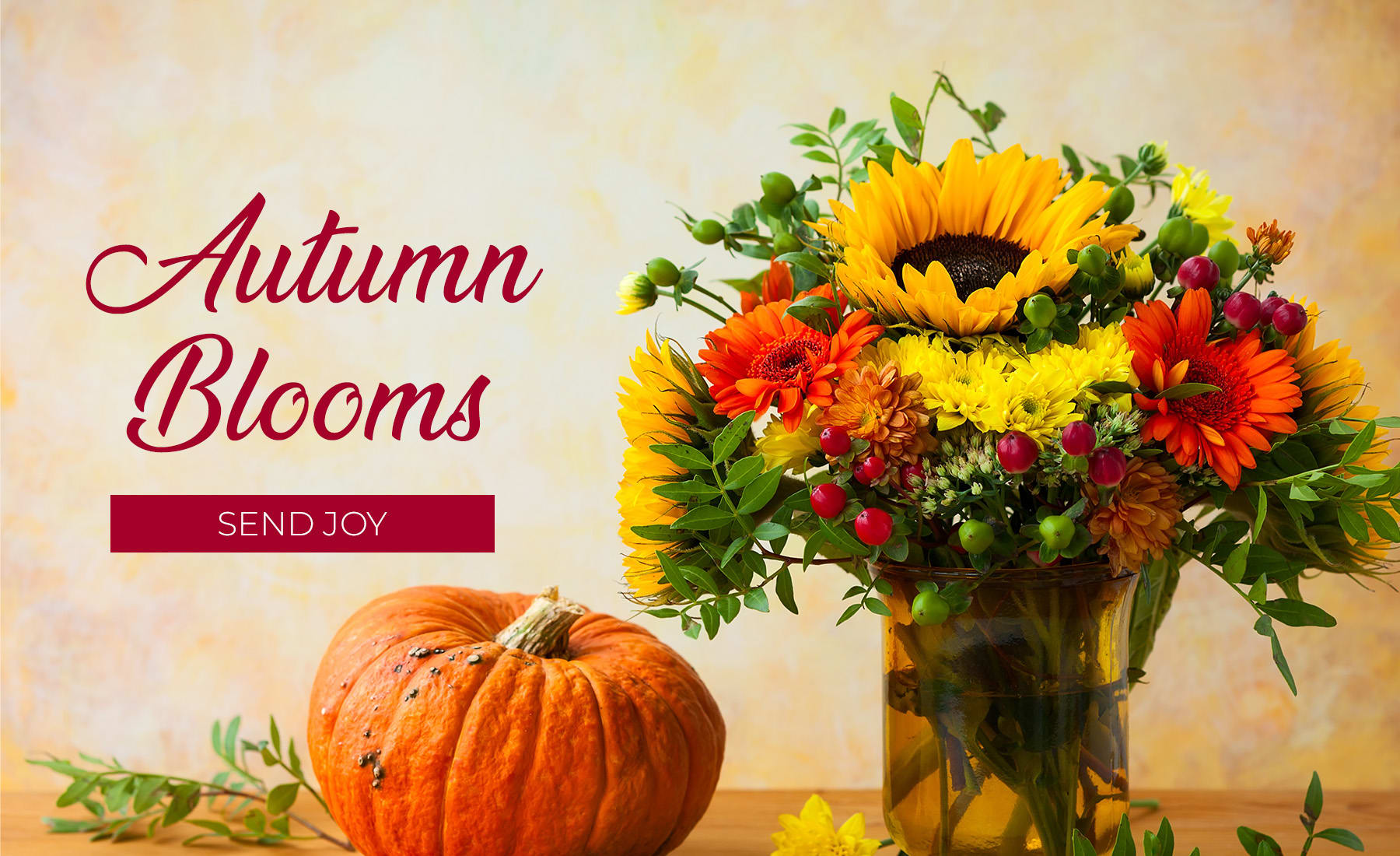 Tracy Florist | Flower Delivery by Cherryland Flowers