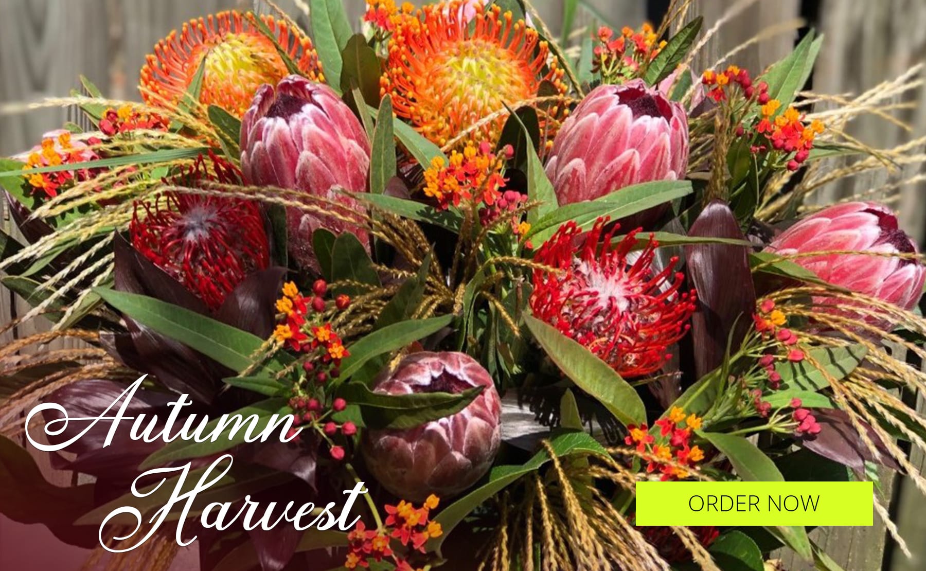 Philadelphia Florist | Flower Delivery by Nature's Gallery Florist, Inc.