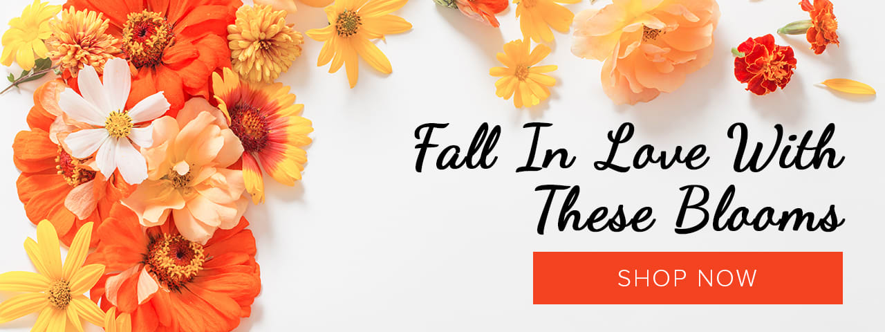 Long Beach Florist | Flower Delivery by A Beautiful California Florist