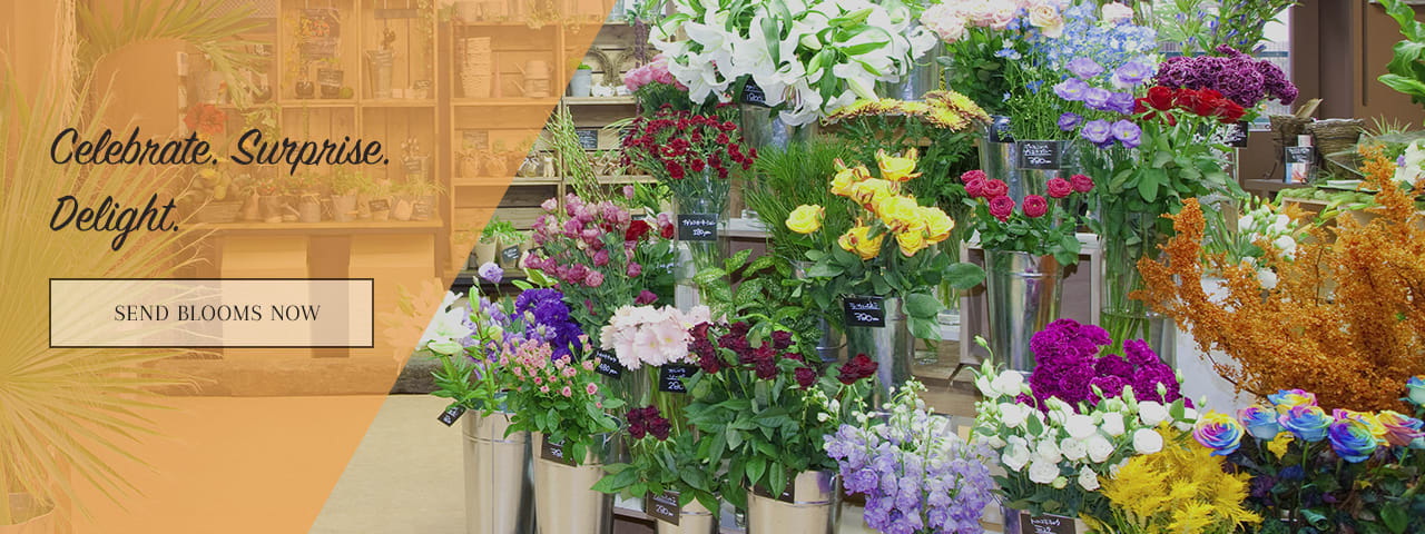 San Diego Florist | Flower Delivery by Liz's Flowers