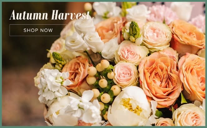 Newton Florist | Flower Delivery by Busy Bee Flowers