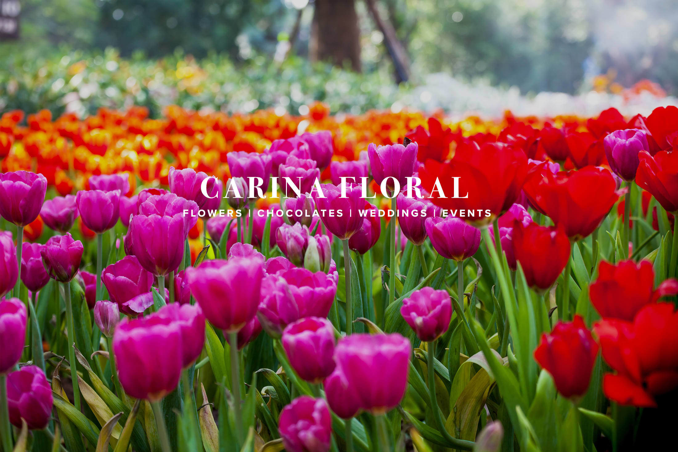Covina Florist | Flower Delivery by Carina Floral