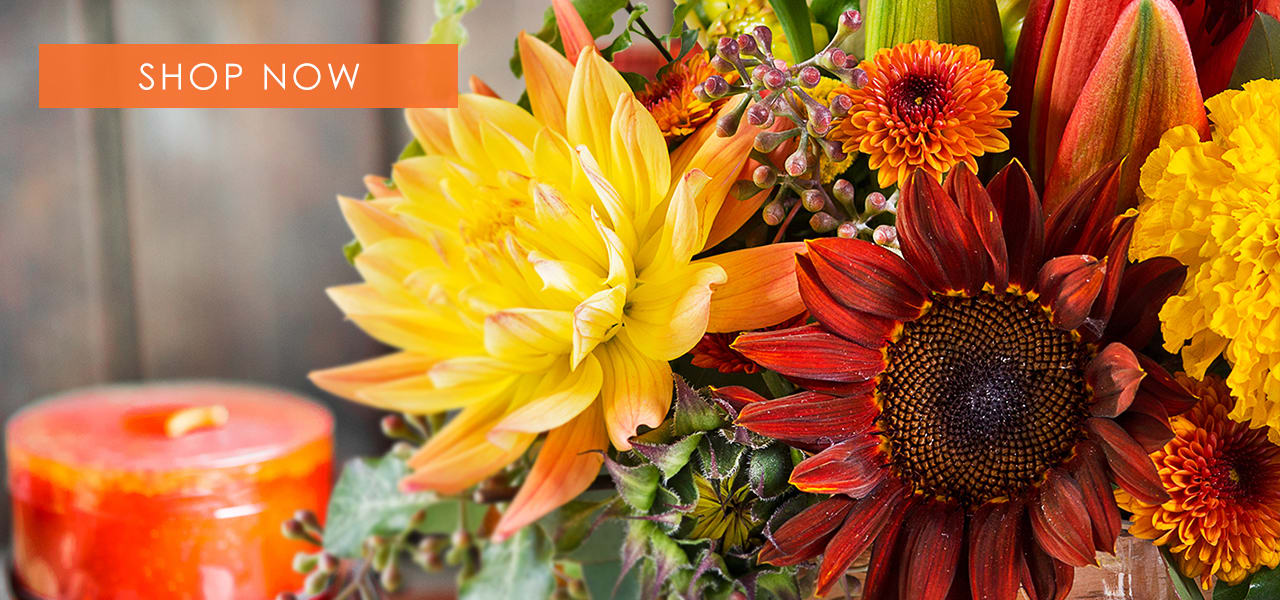 San Lorenzo Florist | Flower Delivery by Nancy's Flowers